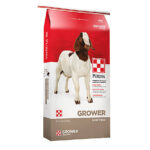 Sheep & Goat – EarlyBird Nutrition