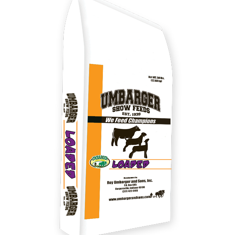 EarlyBird Nutrition