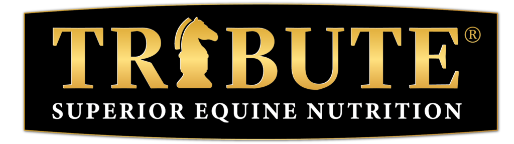 Equine | EarlyBird Nutrition